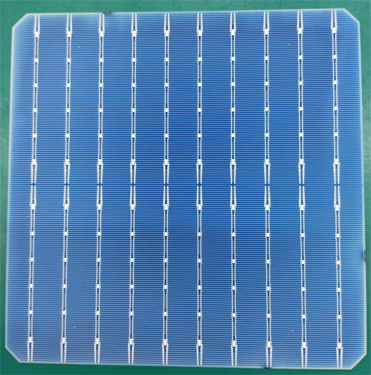 Bifacial_PERC_M10_10BB_182mm_img1_65558e6f5b015_bc398e7d-cc93-41de-8a28 ...