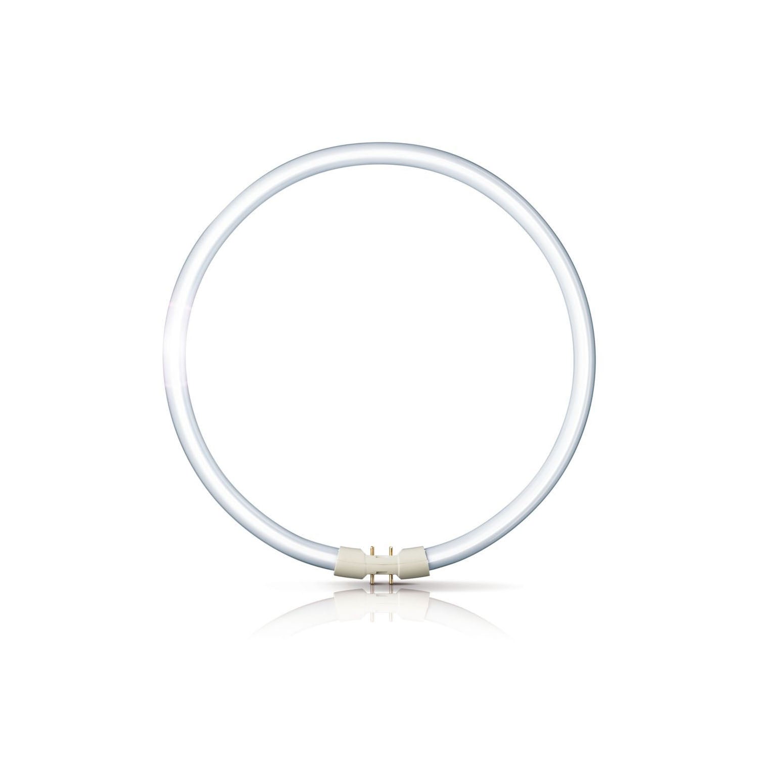 PHILIPS Fluorescent Tube MASTER TL5 Circular 40W/830 - Art. 64097025 ...
